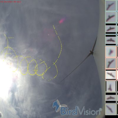 BirdVision®